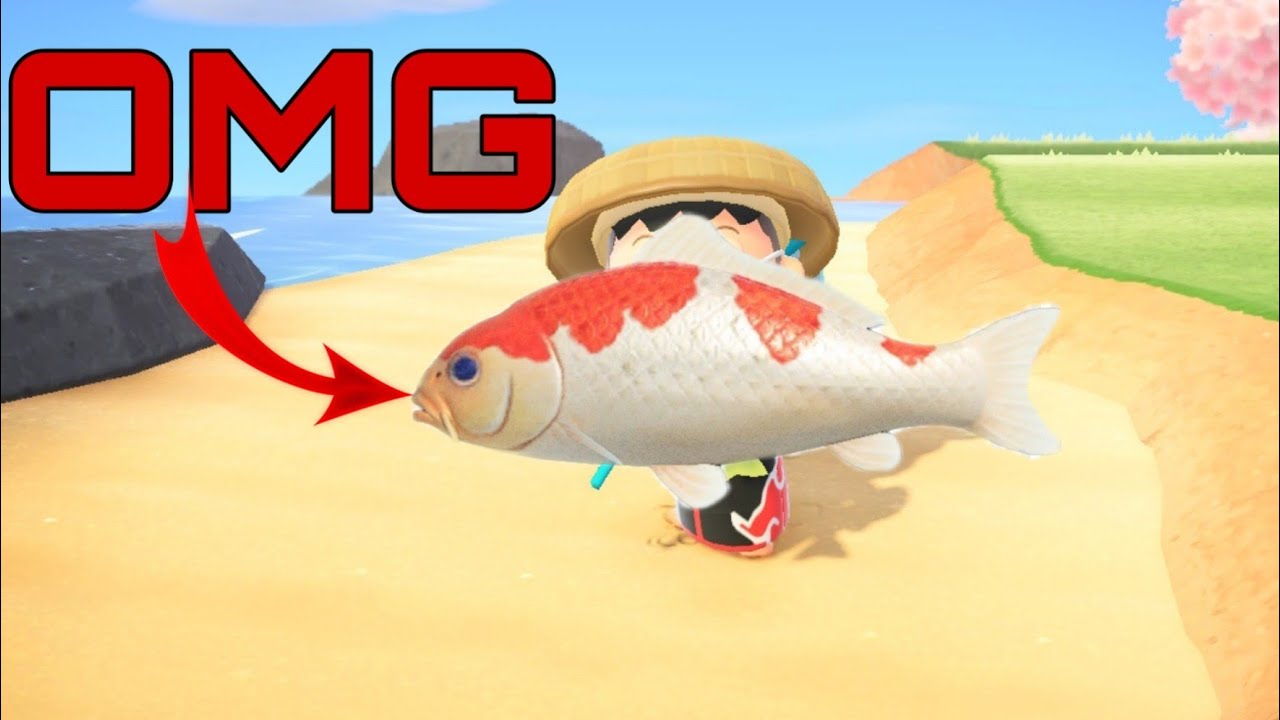 J' ATTRAPE UNE CARPE KOÏ GÉANTE :ANIMAL CROSSING NEW HORIZONS #3 - YouTube