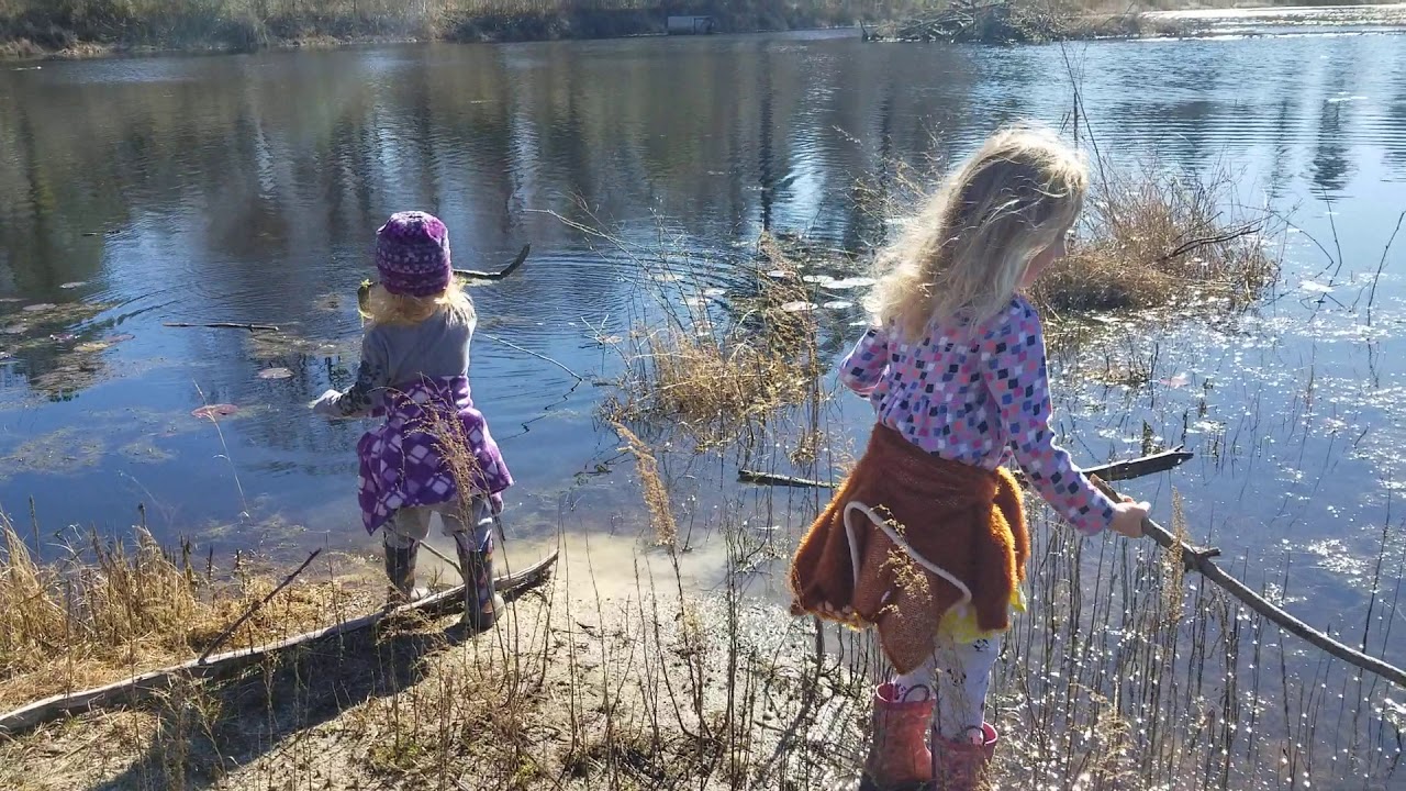Pond Walk 3 YouTube pond-walk-3-youtube