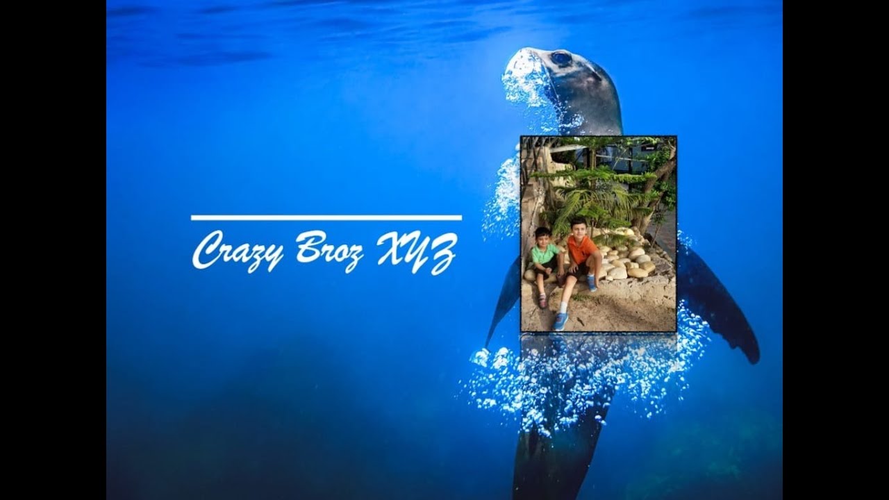 Crazy Bro & Sis #dance #crazy #fun #funny #video #viral - YouTube