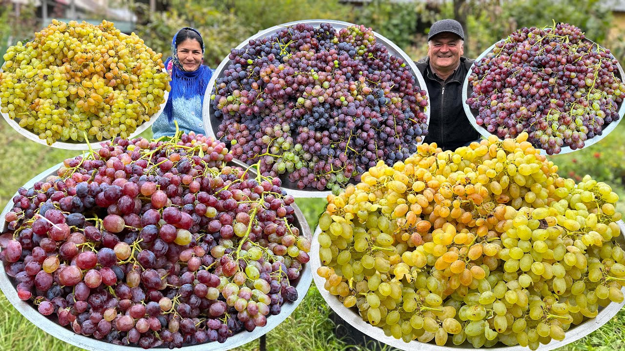 100 KG GRAPE | We've Been Doing it for 30 Years, We Never Gave Up ...