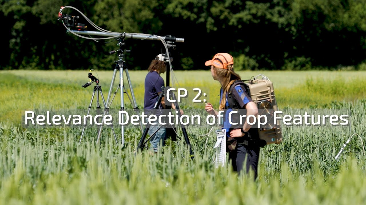 PhenoRob Core Project 2: Relevance Detection of Crop Features - YouTube