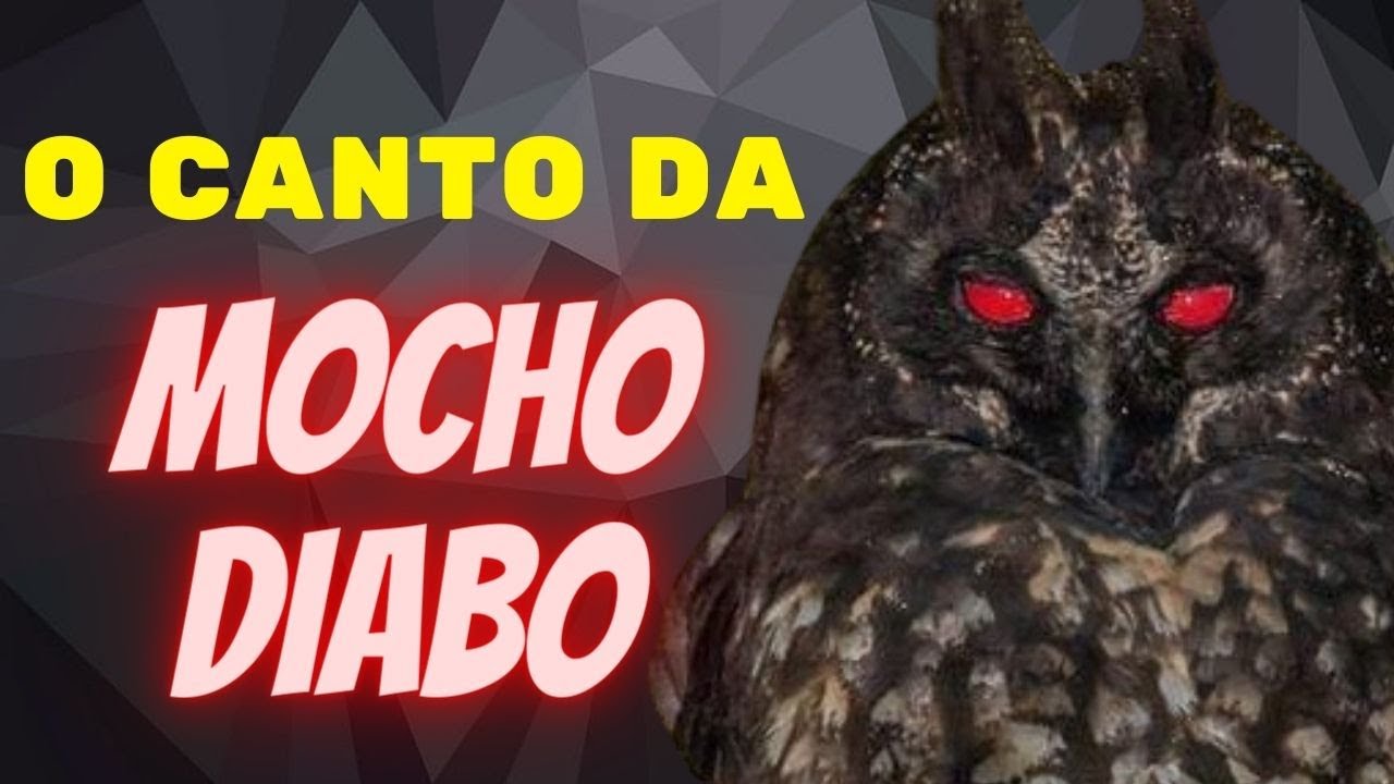 A INCRIVEL CORUJA MOCHO-DIABO NA NATUREZA - YouTube