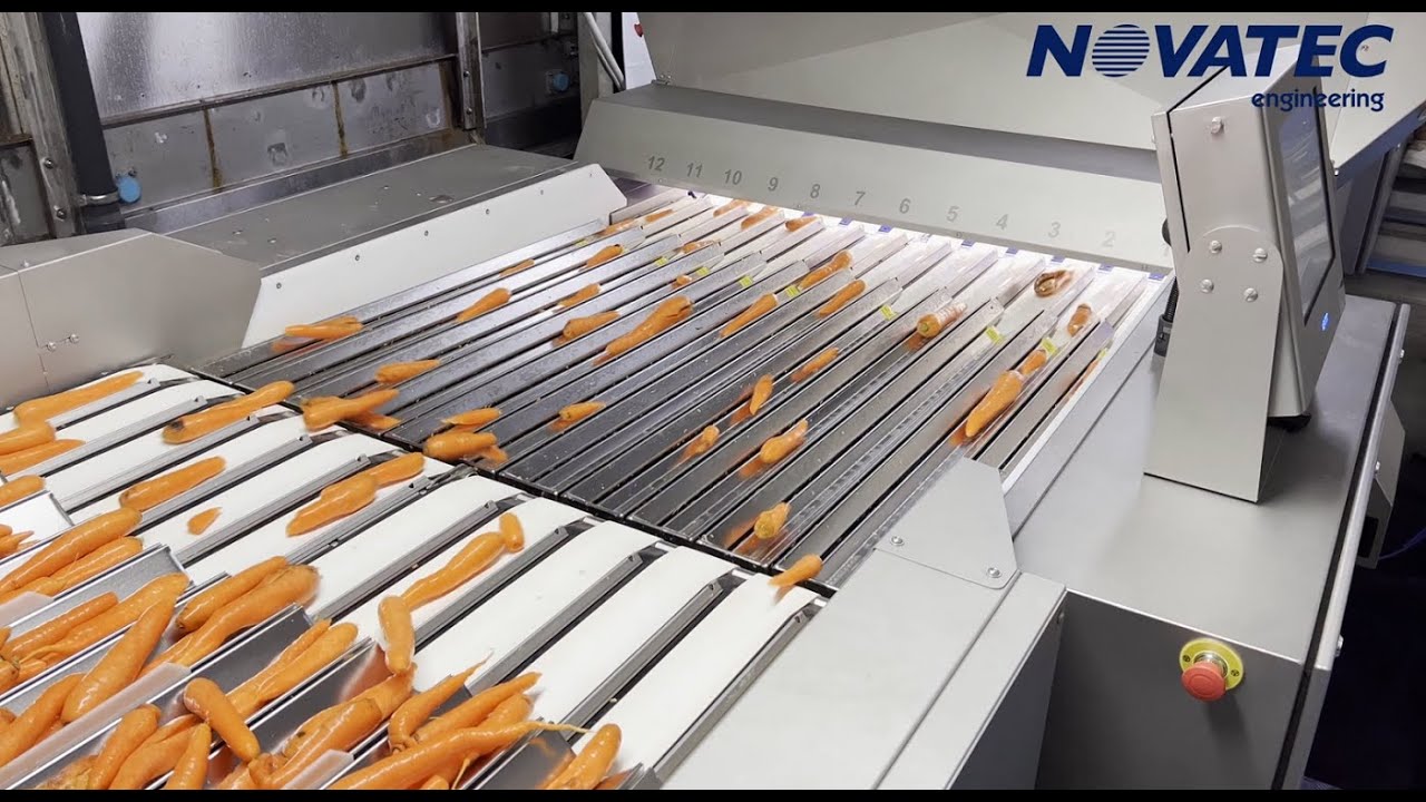 Novatec S.A. - Electronic Sorting Machine For Carrots - YouTube