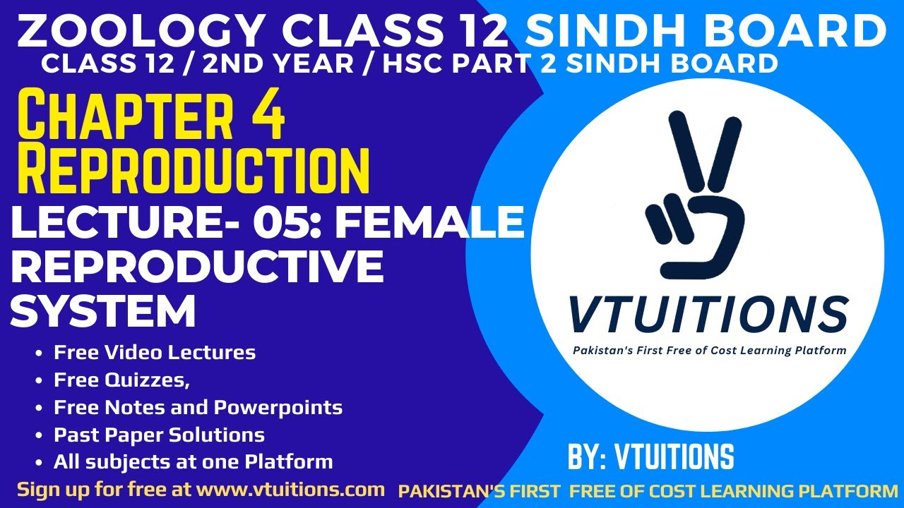 Female Reproductive System | Chap 4 Reproduction | Biology (Zoology ...