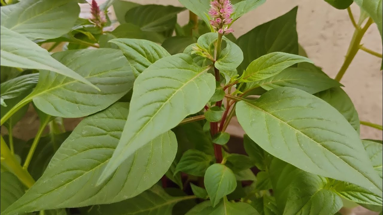 Best of Waste. Part 1 - YouTube