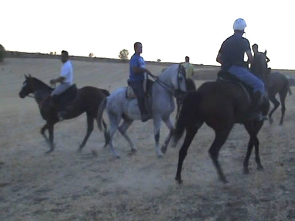 carrera de caballos psi Julito casiano - YouTube