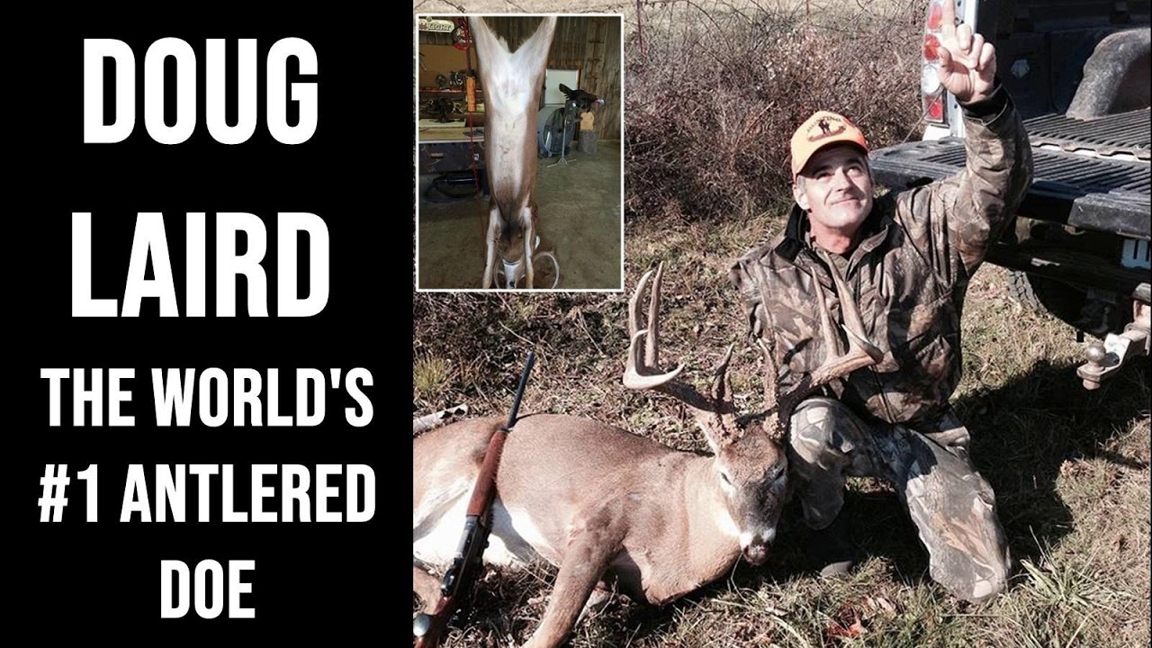 245 DOUG LAIRD - The World's #1 Antlered Doe - YouTube
