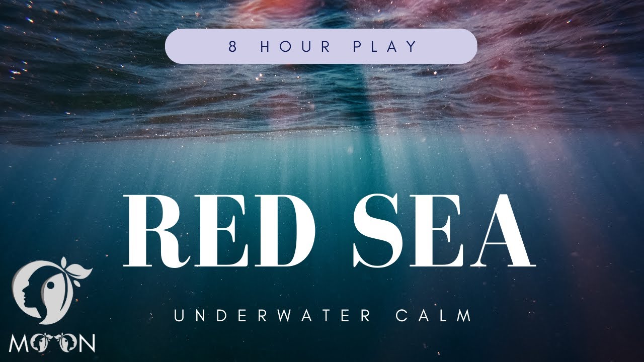 8 Hours Under Red Sea HD | Incredible Underwater World - YouTube