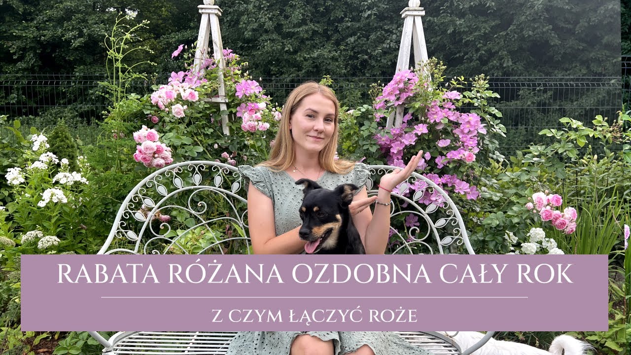 Rabata różana ozdobna przez cały rok | spacer po różance | co posadzić ...