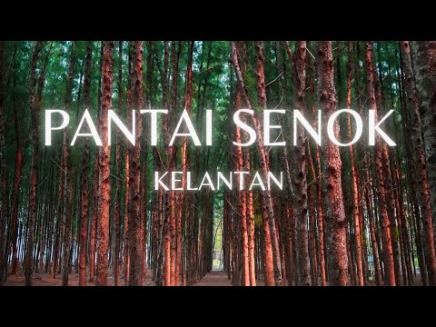 Pantai Senok, Kelantan | Cinematic Video - Sony A6000 - YouTube