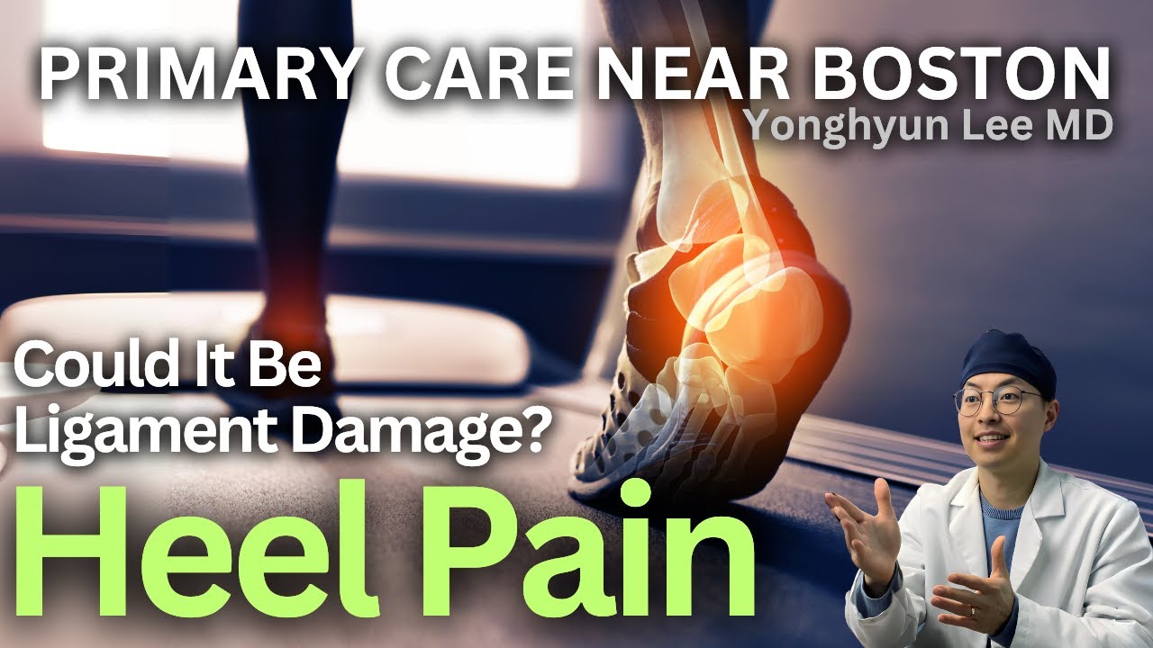 What’s Behind Heel Spurs and Tendonitis? Exploring the Anatomy of the ...