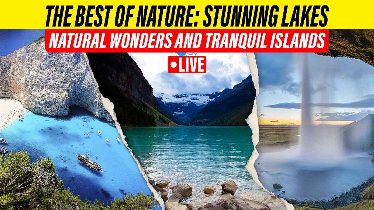 🔴Wander far, explore deeper, and embrace the journey | LIVE - YouTube