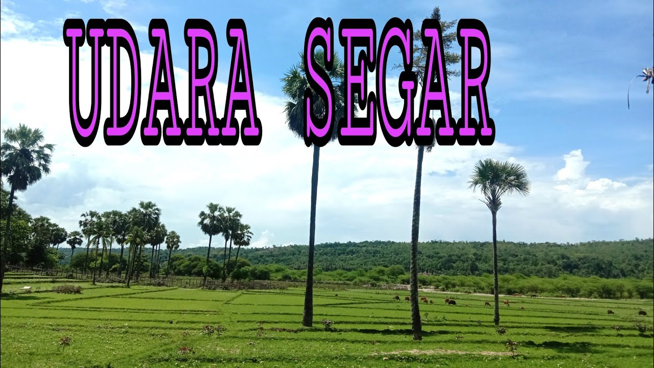 UDARA SEGAR DESA TUASENE KAB.TTS - YouTube