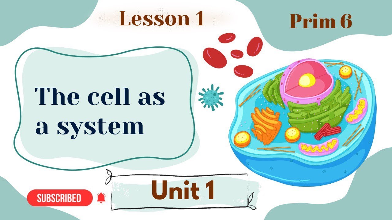 The cell | Grade 6 | Unit 1 | Concept1 - Lesson 1 | Science (2026 ...