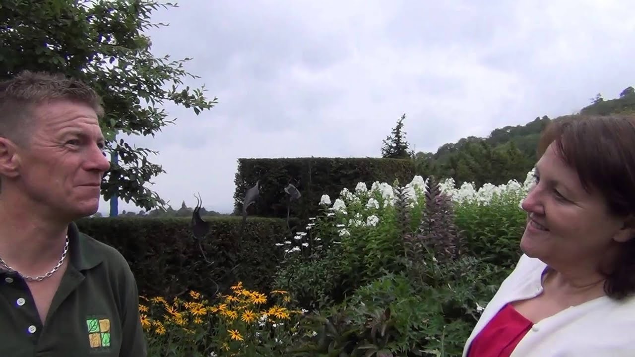 Strulch at Wray Lane House Reigate - YouTube