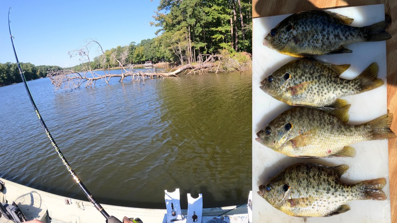 FISHING For Fall Shellcracker Catch n' Cook! - YouTube