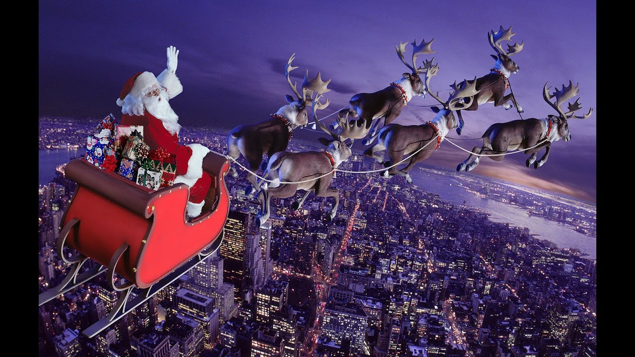 Meeting Santa's Reindeer - YouTube