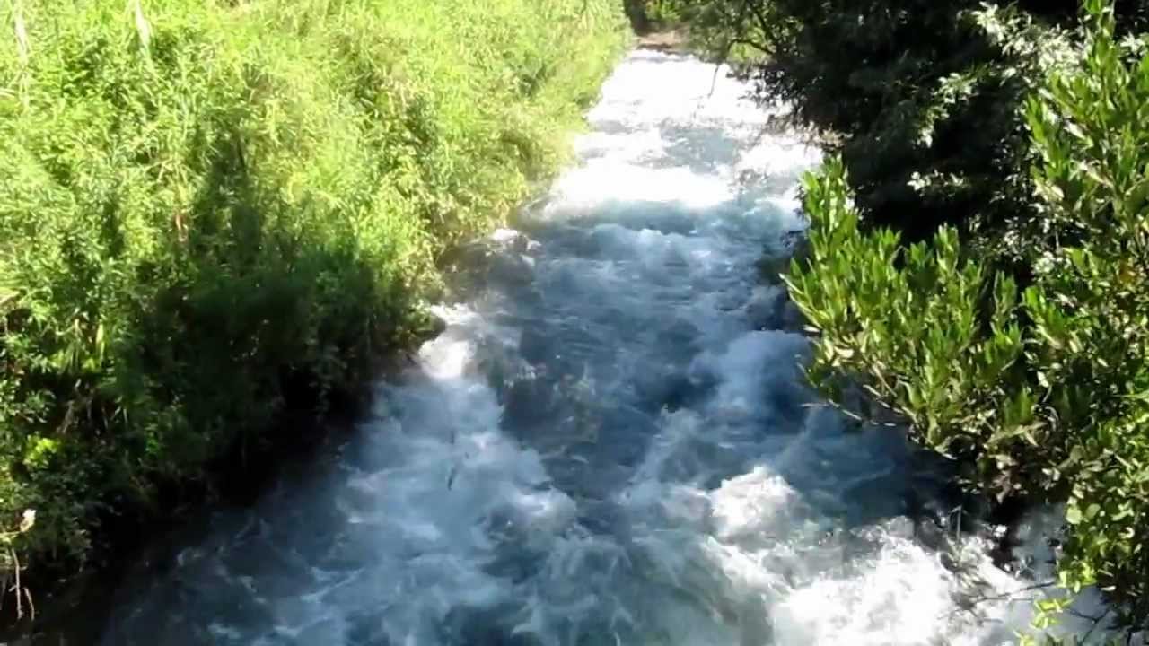 Tel Dan Nature Reserve - YouTube