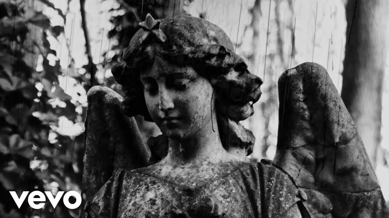 David Delbridge - I Warned You (Official Music Video) - YouTube