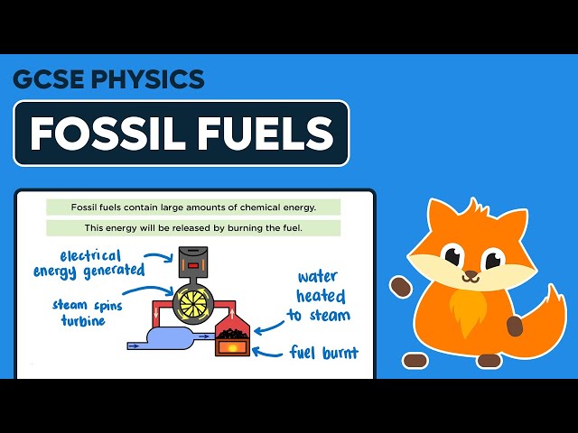 Formation Of Fossil Fuels Gcse