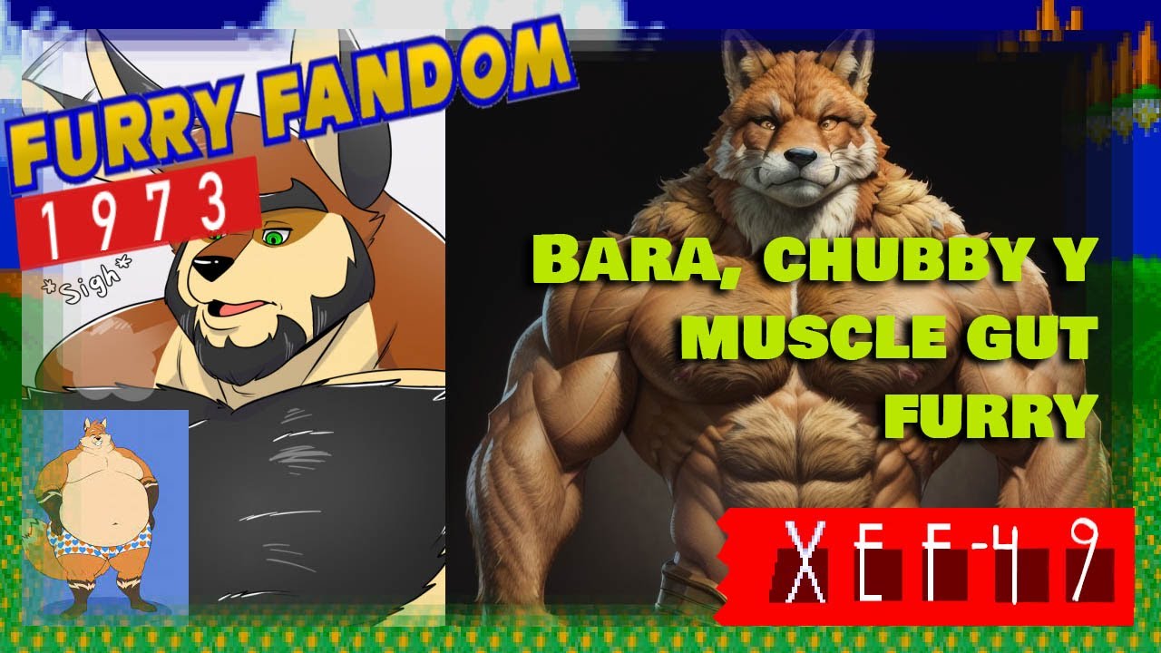 🦊🦊👉 Bara, Muscle Gut y Chubby en el Furry Fandom 👈👈🐯 - Gusto culposo de ...