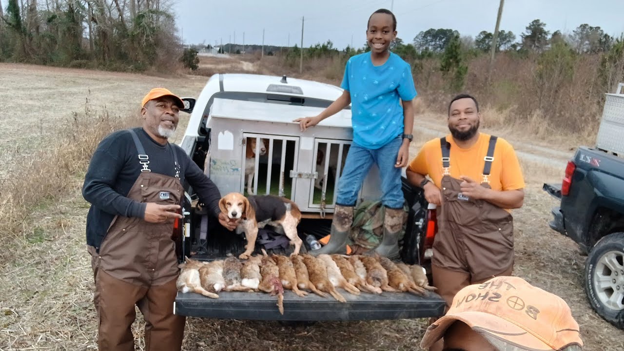 Rabbit Hunting NC Ep1- 15 rabbits #beagles #rabbitdogs - YouTube