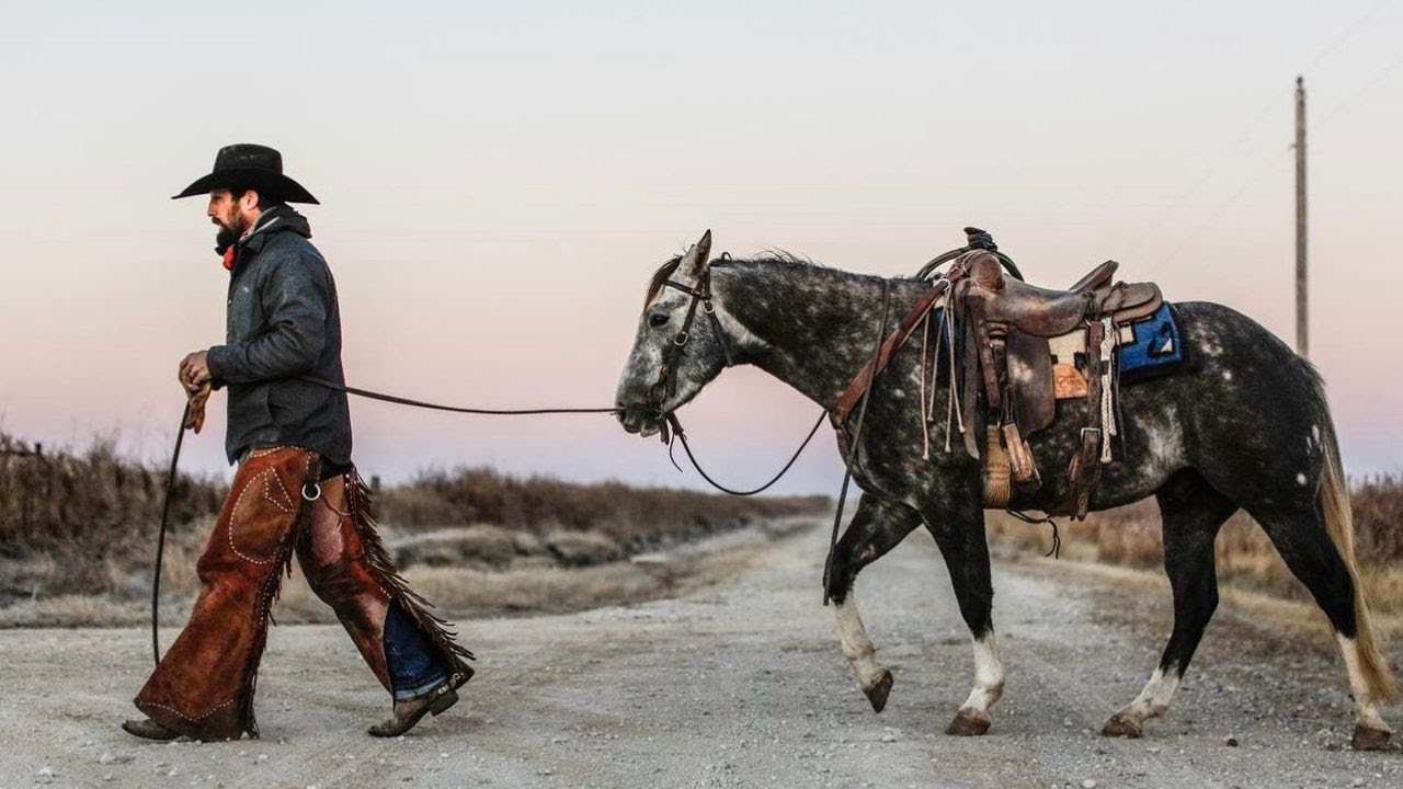 What Are You Going To Do Tomorrow? - Terry Stuart Forst - YouTube