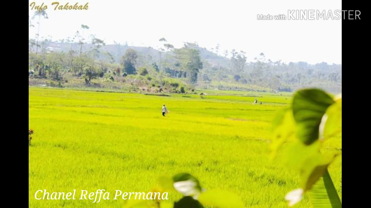 Pemandangan,alam Indah Dan Sejuk - YouTube