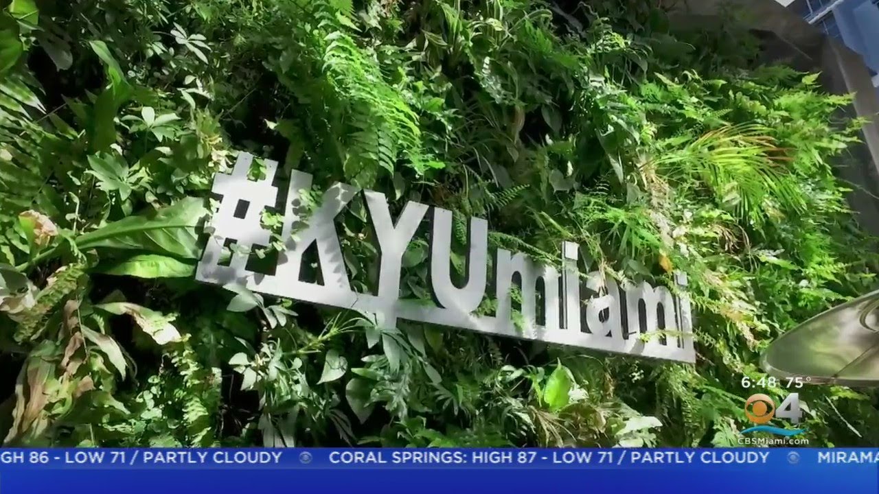 Taste Of The Town: KYU Miami Serves Up Wood Fired Asian Cuisine - YouTube