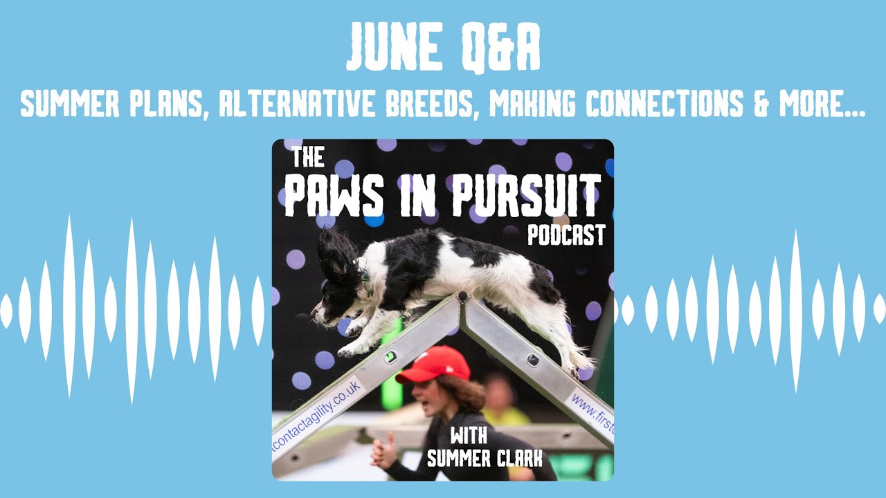 June Q&A - Summer Plans, Alternative Breeds, Making Connections & More ...