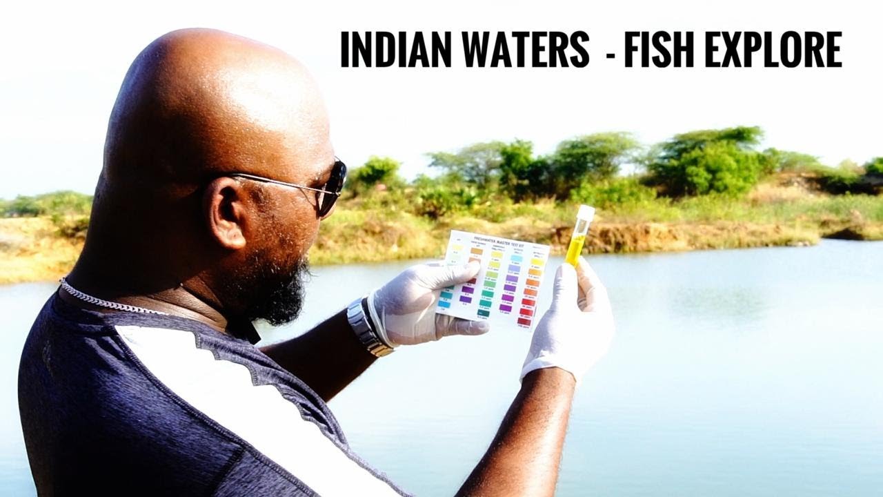 INDIAN NATIVE FISH EXPLORING | CHENNAI AQUARIUM - YouTube