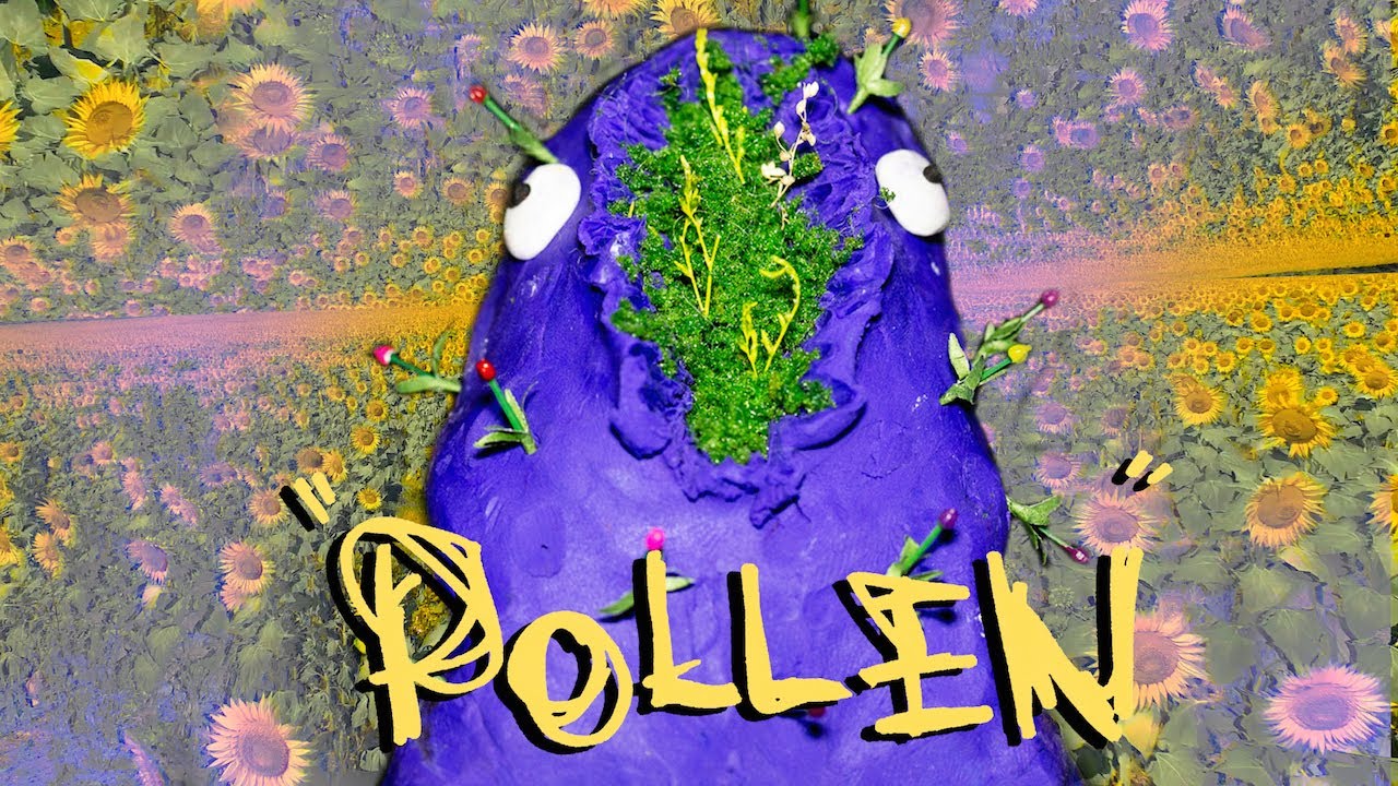 Pollen (Official Video) - Sister James - YouTube