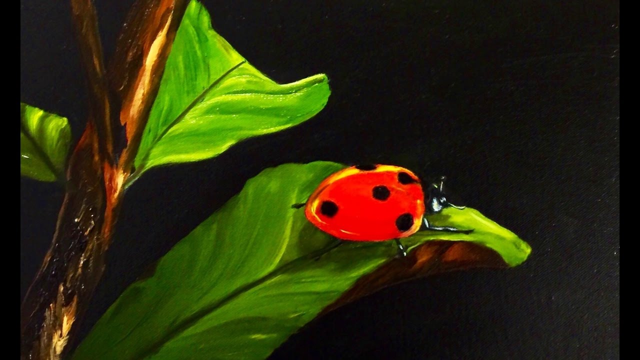 Ladybug Color of the Year - YouTube