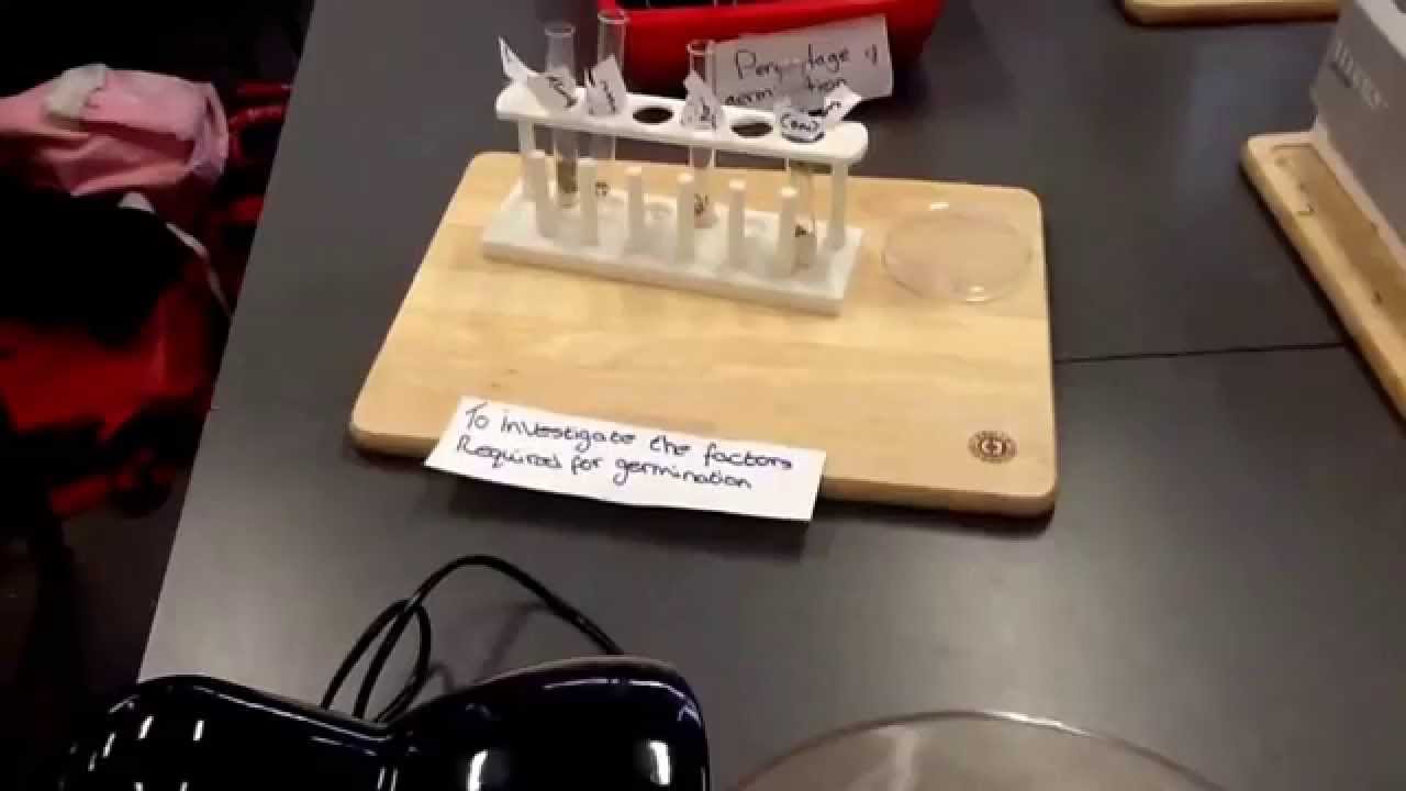 plant physiology experiments - YouTube