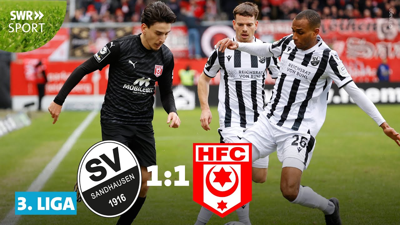 3. Liga: Tor in der Nachspielzeit - SV Sandhausen lässt gegen Halle ...