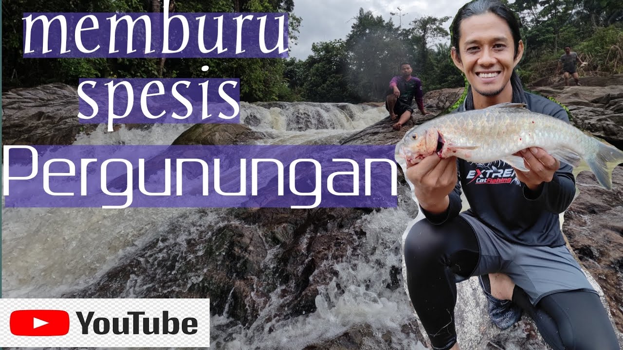 TENGAS SUNGAI TERAJUL,KEMAMAN - YouTube