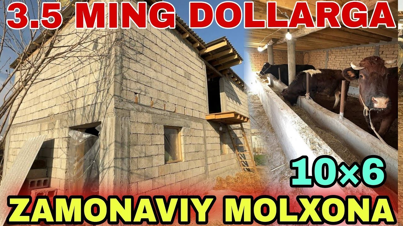 3.5 DOLLARGA IKKI QAVATLI ZAMONAVIY MOLXONA - YouTube
