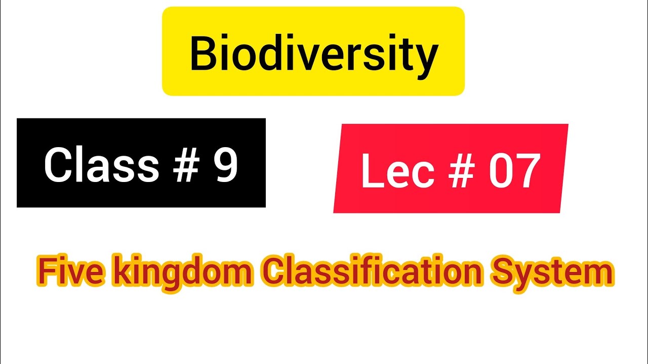 Five Kingdom Classification System| Class # 09| Robert Whitaker| Lec ...