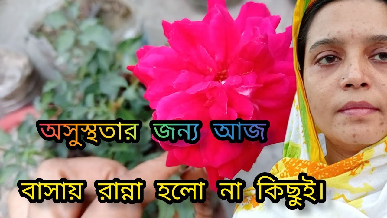 অসুস্থতার জন্য আজ বাসায় রান্না হলো না কিছুই/MY VILLAGE LIFE CHADINE ...