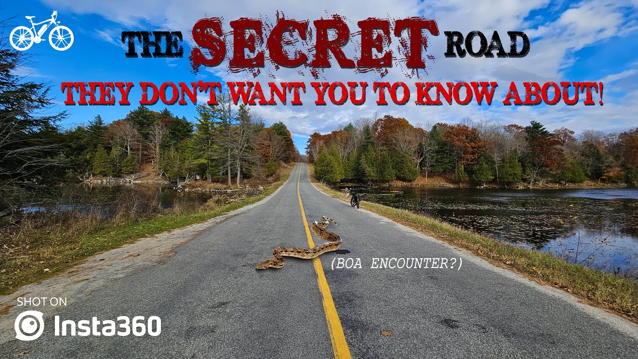 The SECRET ROAD They DON'T WANT YOU To Know About! - YouTube