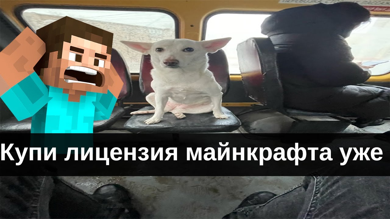 Ты обязан купить лицензию майнкрафта - YouTube