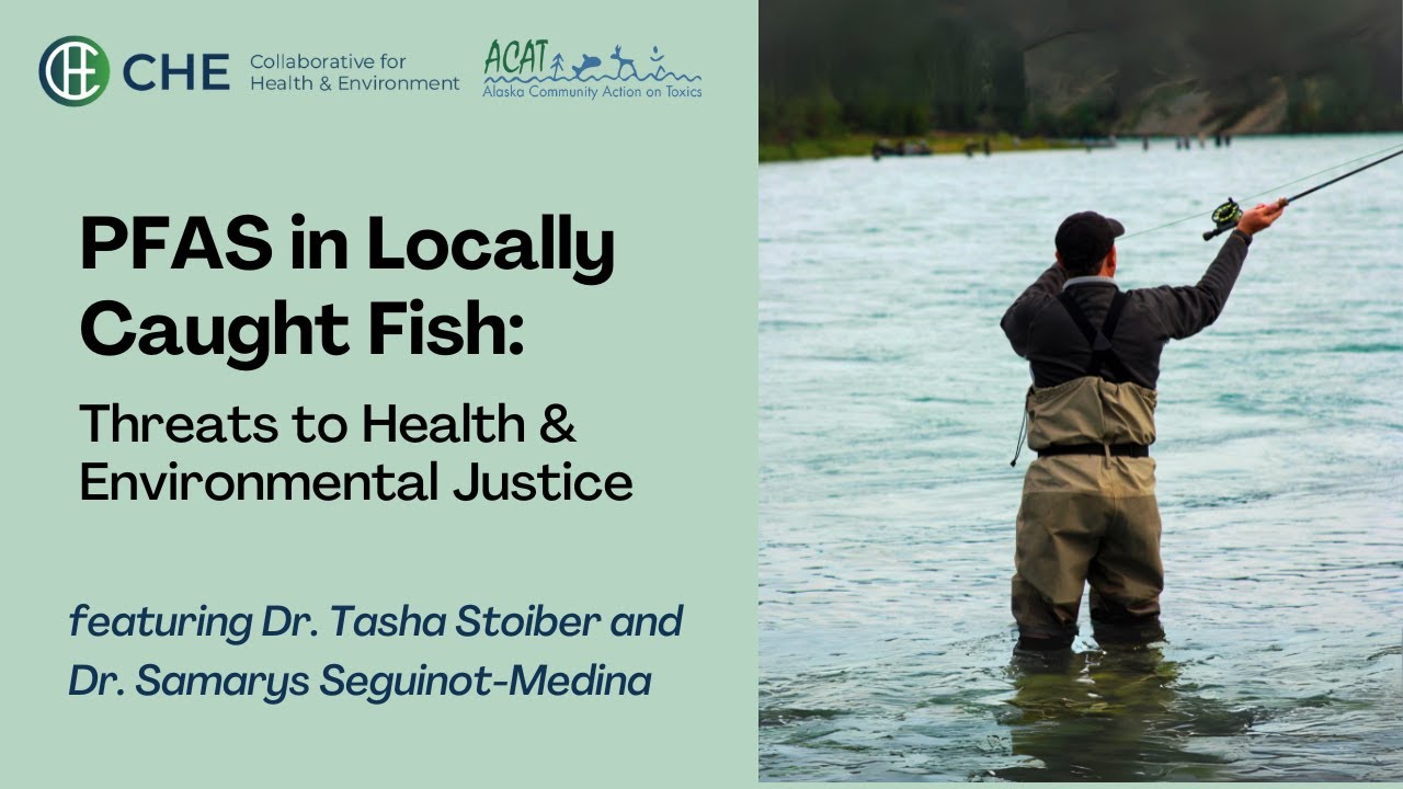 PFAS in Locally Caught Fish: Threats to Health & Environmental Justice ...