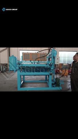Revolutionize Your Packaging with AGICO's 2000pcs/h Egg Tray Production ...