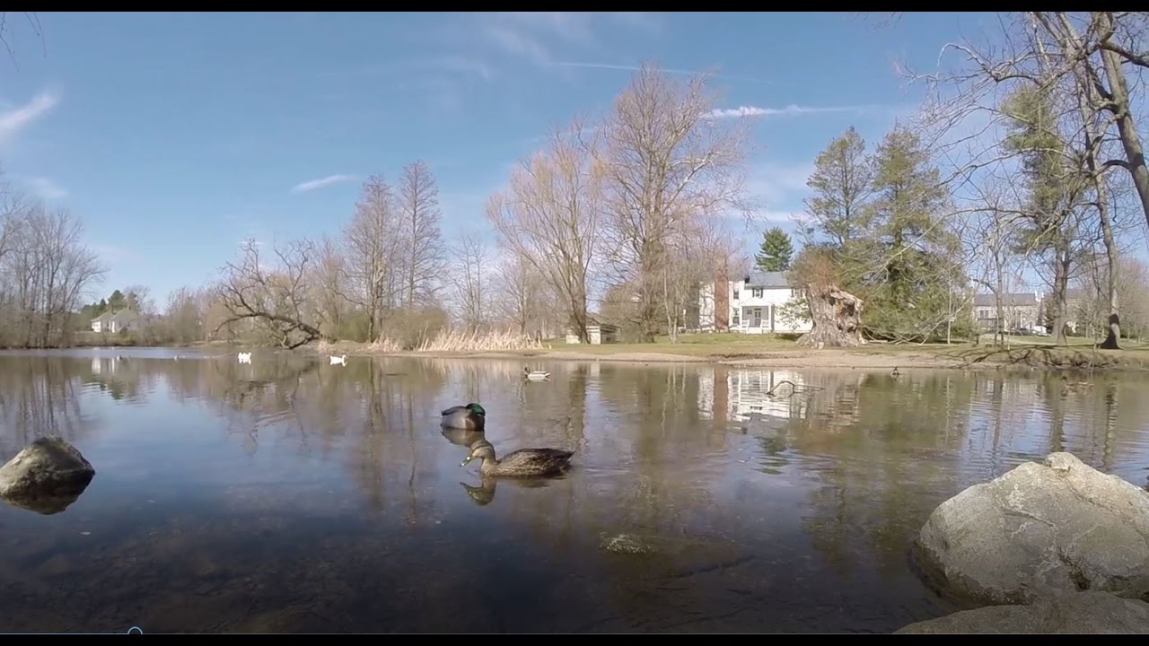 RC Adventure at the Virginia Tech Duck Pond - YouTube