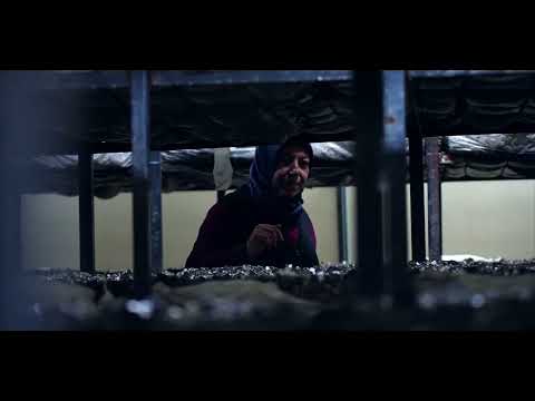 Belgesel Film | Konya Büyükşehir Belediyesi | İş Dünyası | Herkes İçin Davet, Konya İçin Hizmet