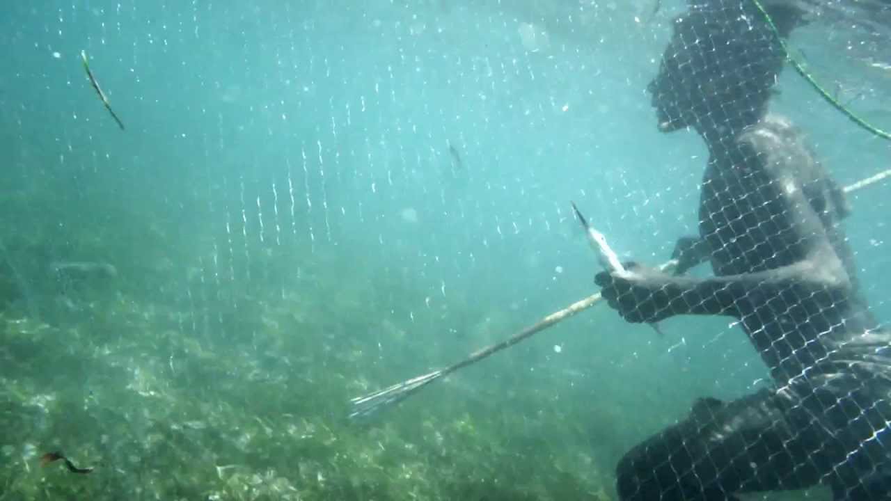 2013-01-11 Spear fishing in Papua New Guinea - YouTube
