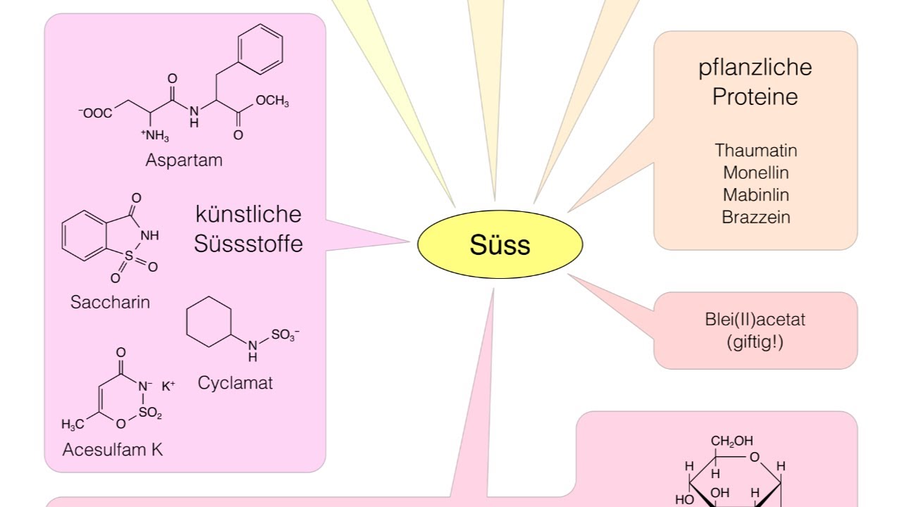 Wie funktioniert der Geschmackssinn? (4/6) - YouTube