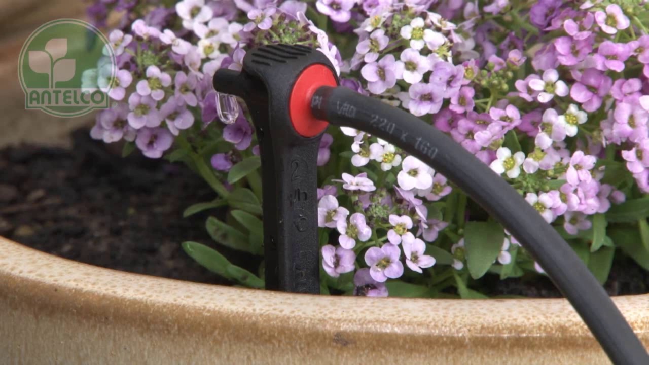 Antelco Asta® Drip Pressure Compensating (PC) Spike Drippers - YouTube