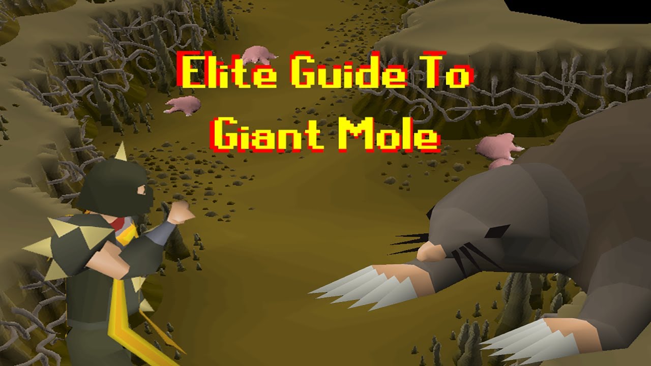 OSRS | Elite Guide To The Giant Mole - YouTube