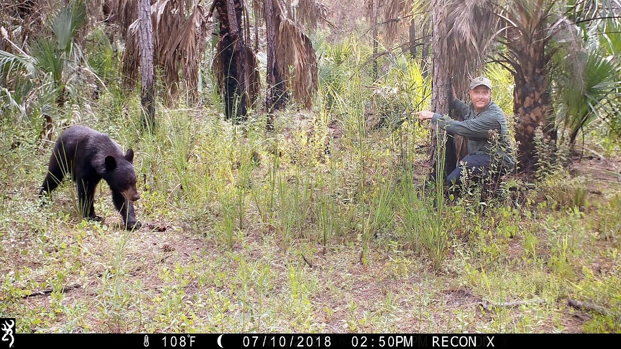 Browning Recon Force Extreme Trail Camera Pickup - YouTube